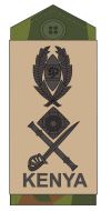 general_officer_ranks_soldier_combat_military_uniforms_Kenya_Kenyan ...