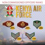 KDF Ranks – Ministry of Defence – Kenya