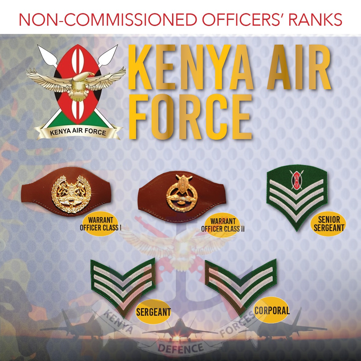 KDF Ranks – Ministry of Defence – Kenya