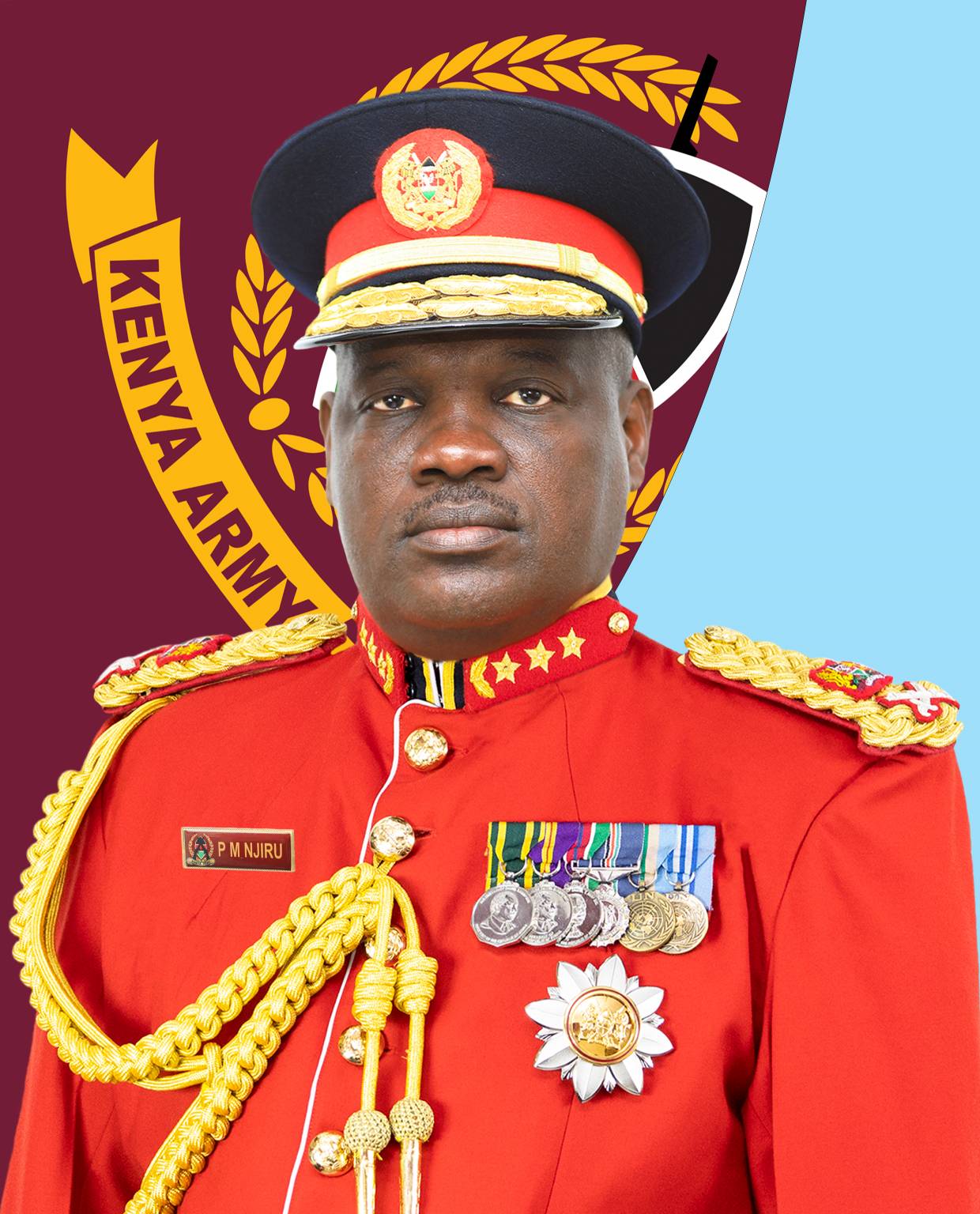 KDF Services – Ministry of Defence – Kenya