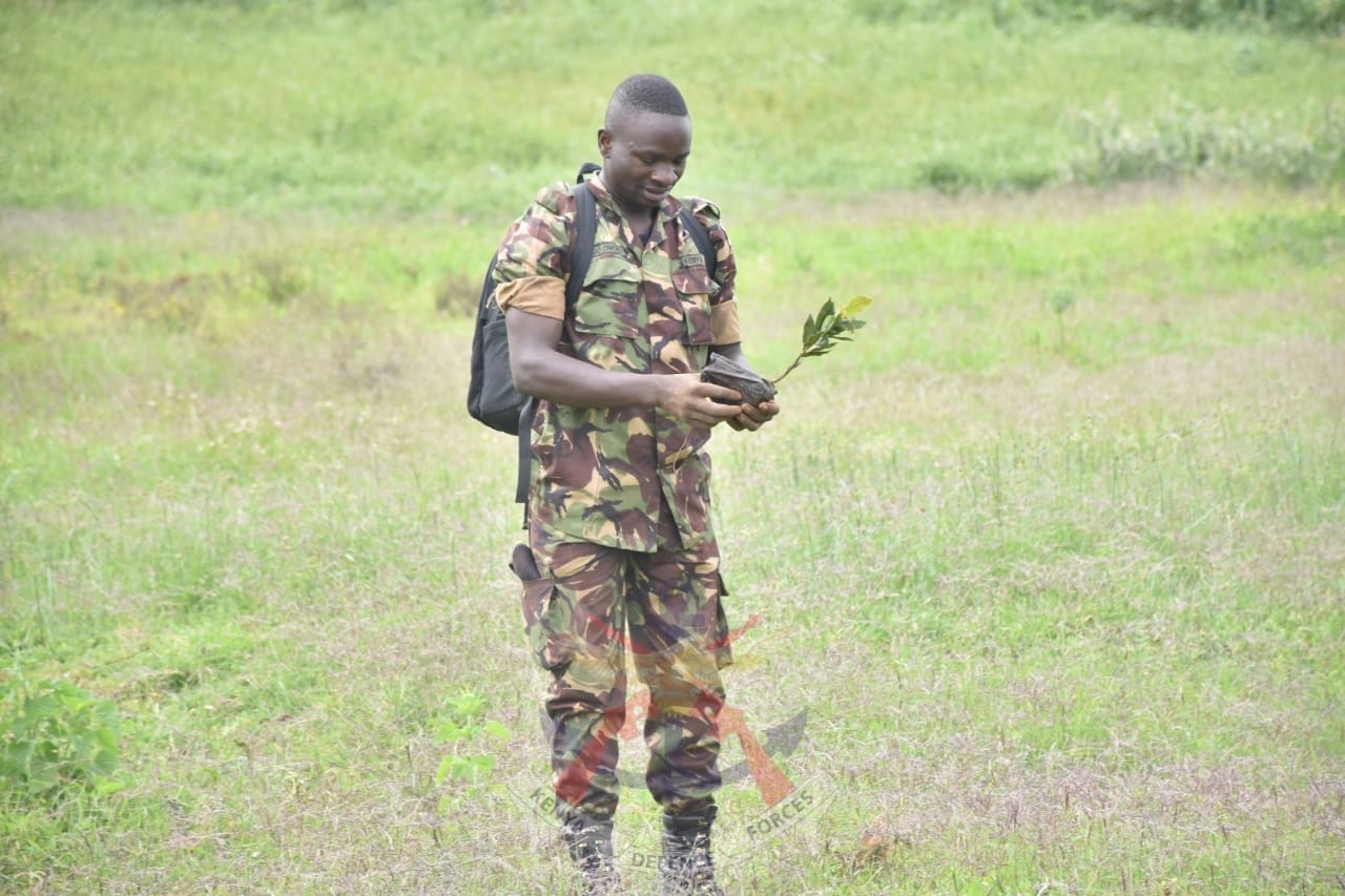 KENYA ARMY TROOPS TAKE LEAD IN ‘GO GREEN’ INITIATIVE – Ministry of ...