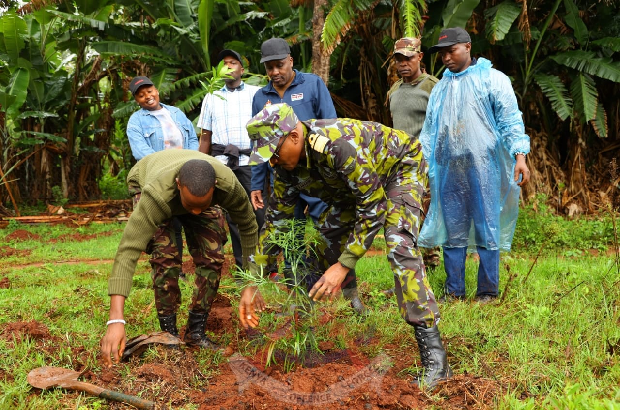 GO GREEN BY PLANTING TREES .. – Ministry of Defence – Kenya