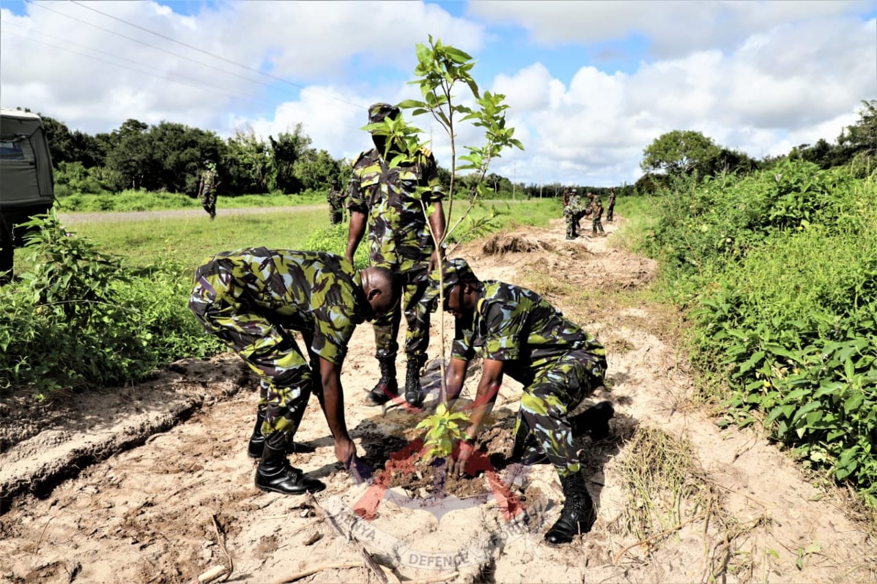 KENYA NAVY OBSERVES NATIONAL TREE PLANTING DAY – Ministry of Defence ...