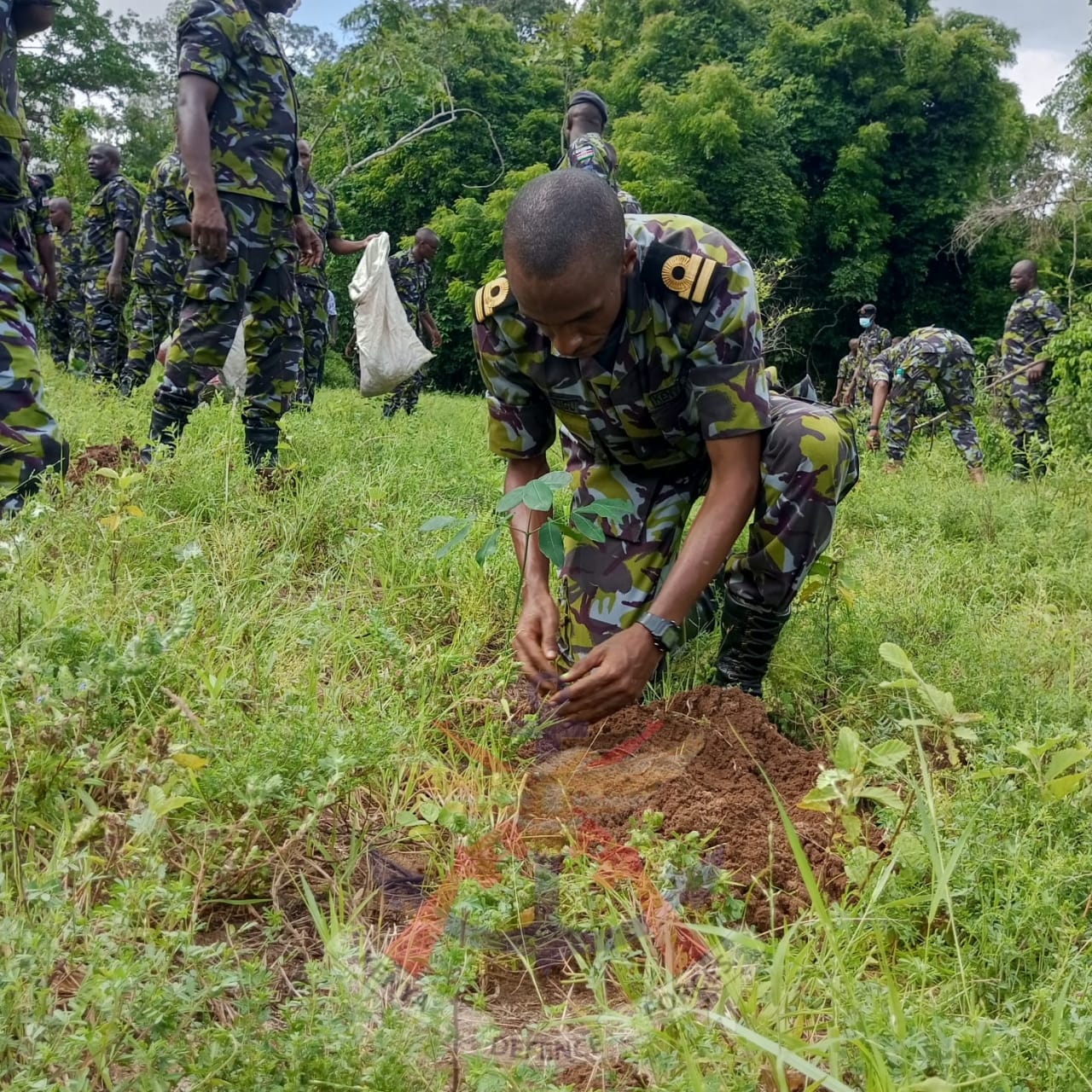 KENYA NAVY OBSERVES NATIONAL TREE PLANTING DAY – Ministry of Defence ...