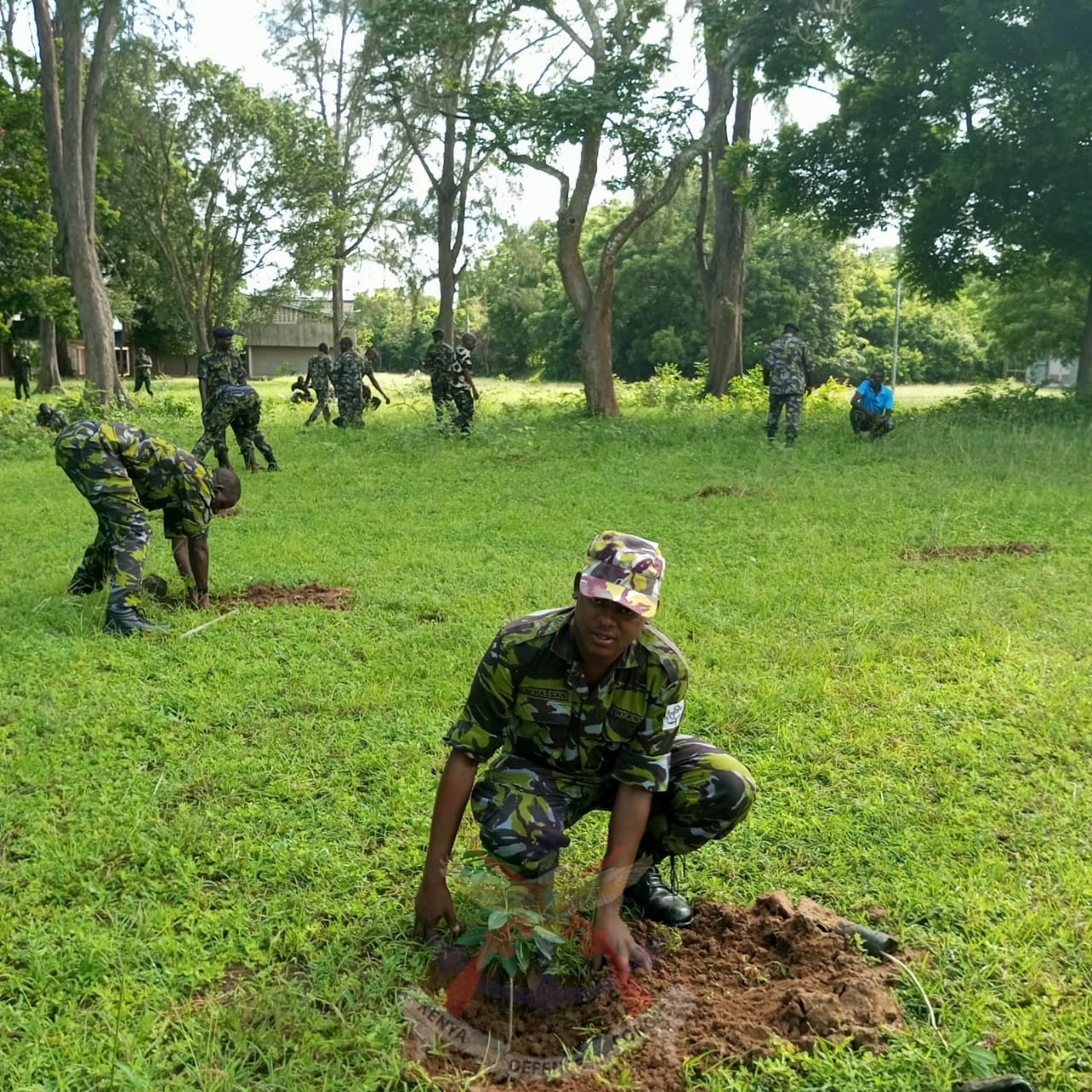 KENYA NAVY OBSERVES NATIONAL TREE PLANTING DAY – Ministry of Defence ...
