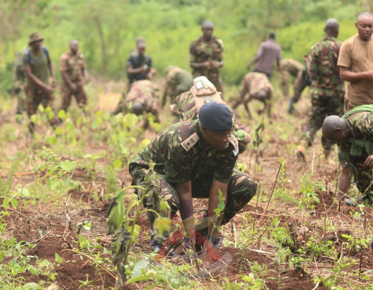 KENYA ARMY GO GREEN AT KABETE CAMPUS – Ministry of Defence – Kenya