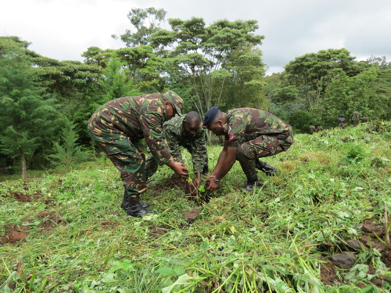 JOINT COMMAND AND STAFF COLLEGE, KAREN OBSERVES NATIONAL TREE PLANTING ...