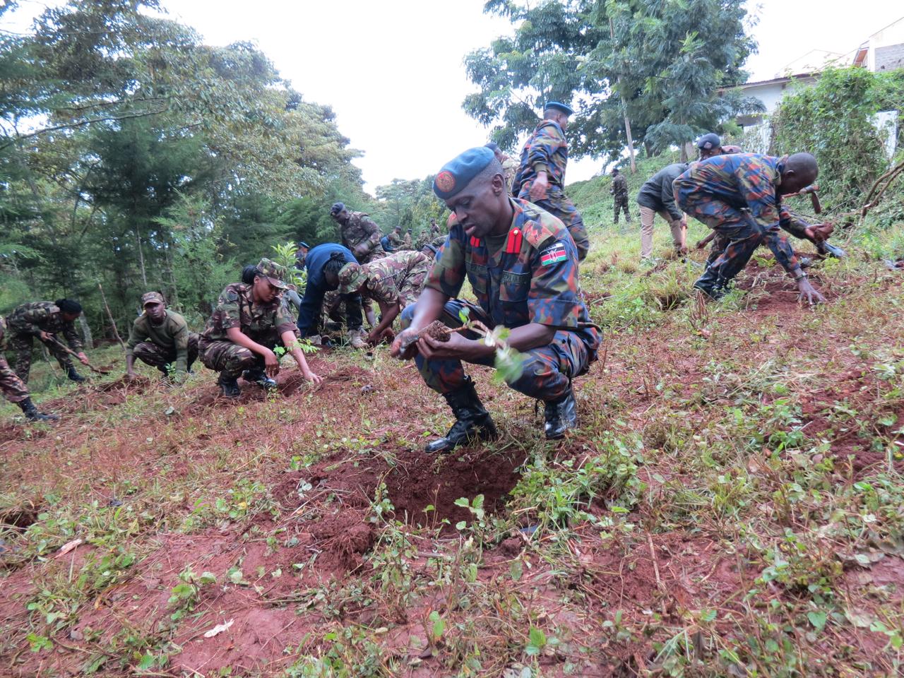 MINISTRY OF DEFENCE JOINS KENYANS IN TREE GROWING EXERCISE – Ministry ...