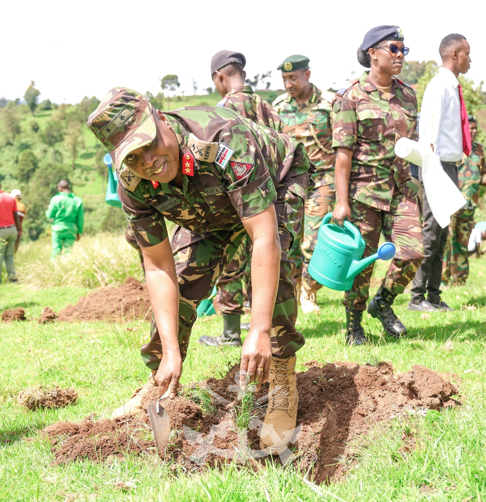 MINISTRY OF DEFENCE JOINS KENYANS IN TREE GROWING EXERCISE – Ministry ...