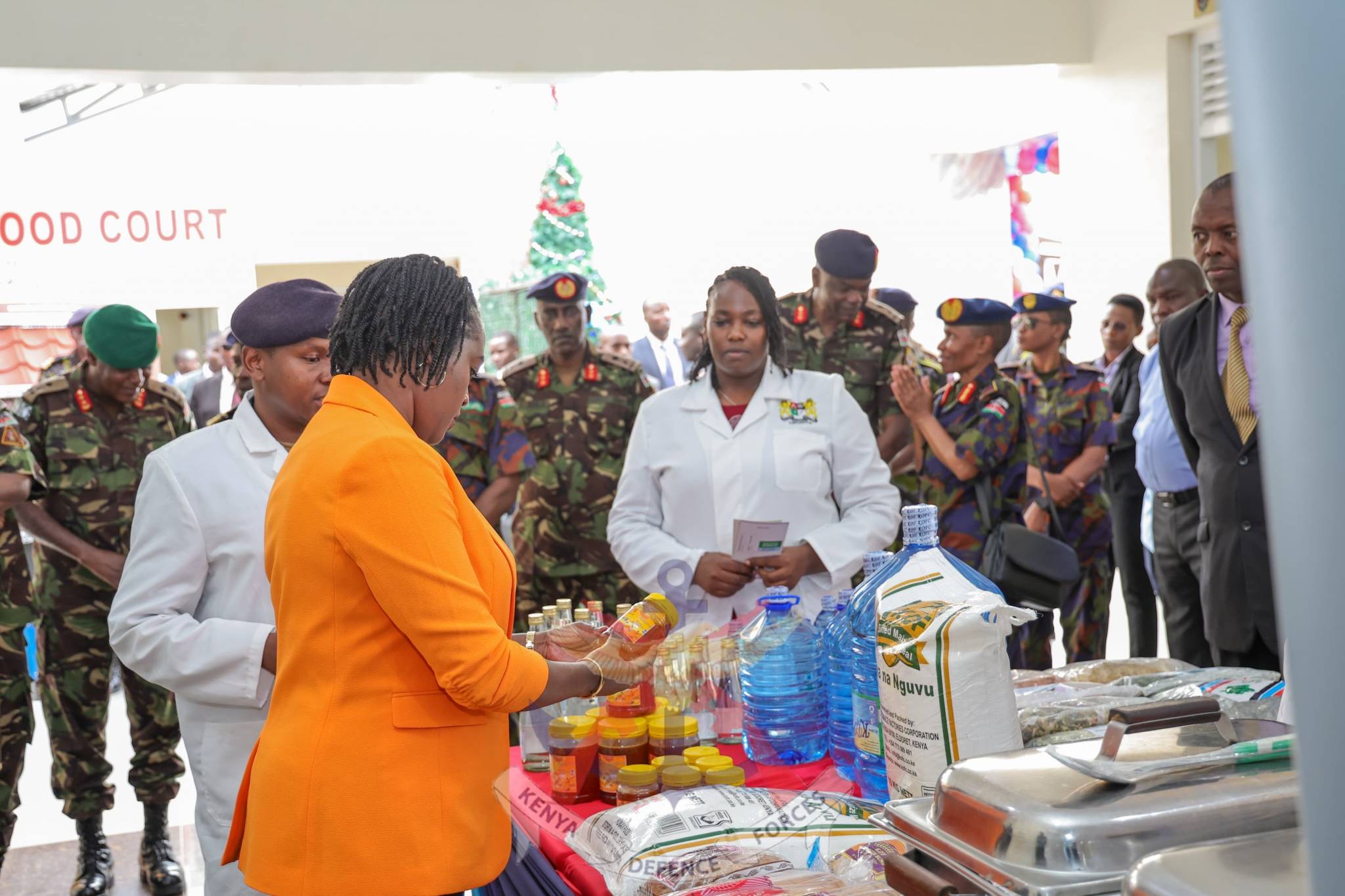 SHAPING THE FUTURE OF MILITARY WELFARE: DEFWES LAUNCHES STRATEGIC PLAN ...